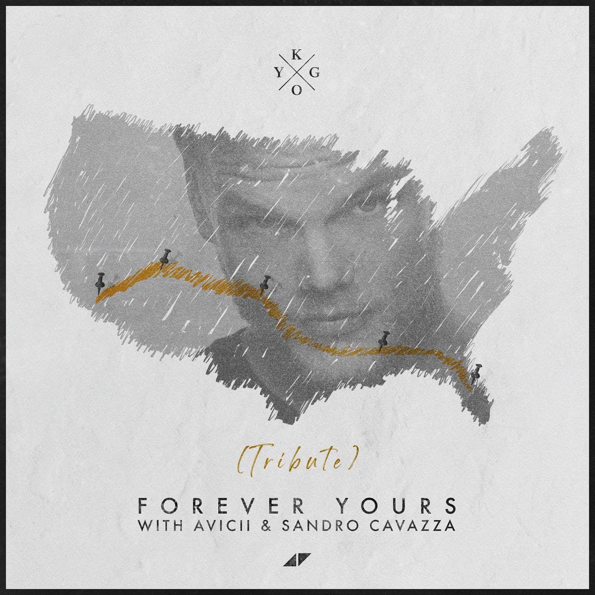 Forever Yours: A Touching Tribute to Avicii - The Festival Voice