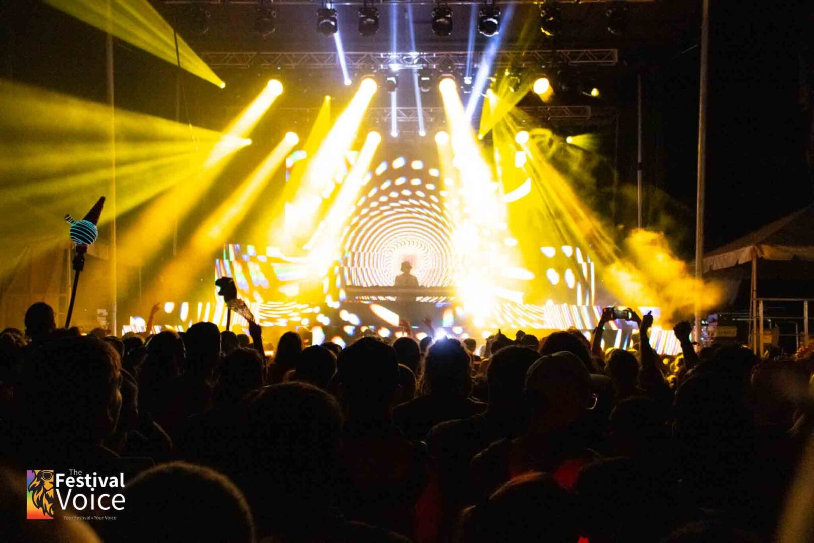 Ready To Camp Out At SCamp? - The Festival Voice