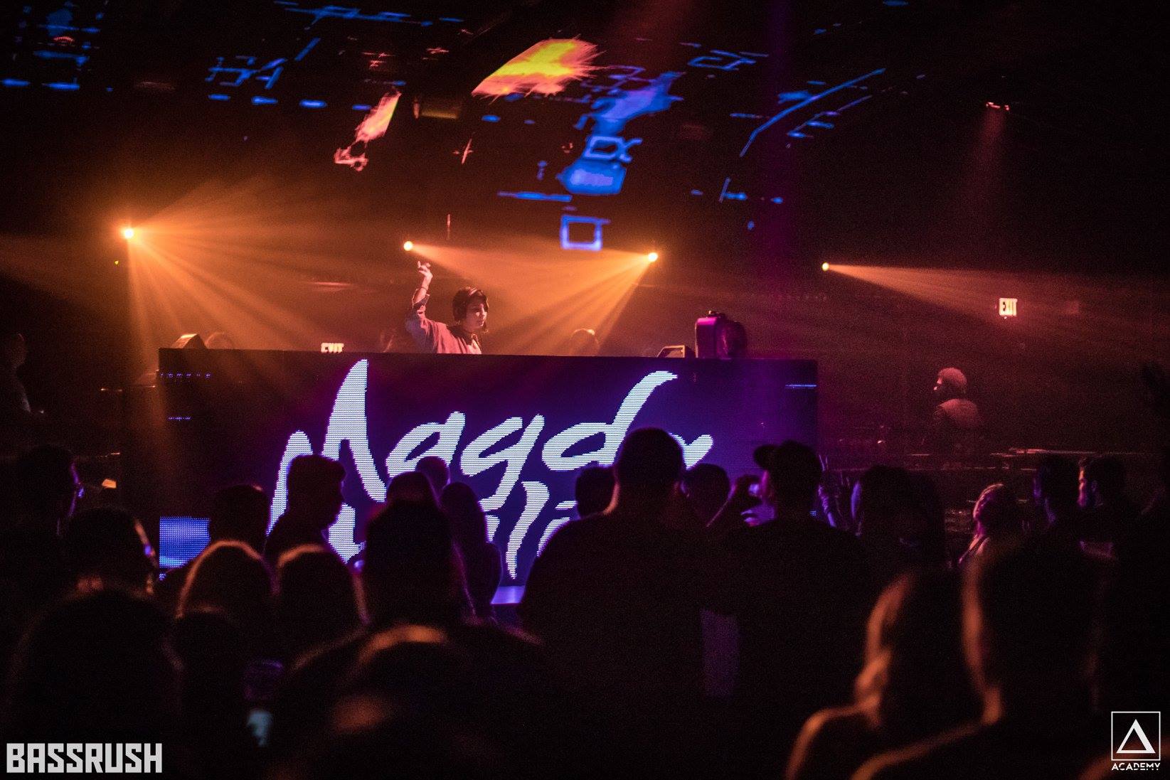 Balance Is Everything: Interview With Magda Halina - The Festival Voice